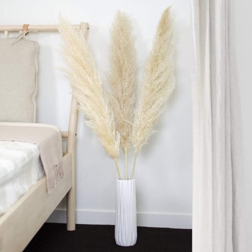 Large Beige Pampas Grass (Set of 3) - Home Stuff