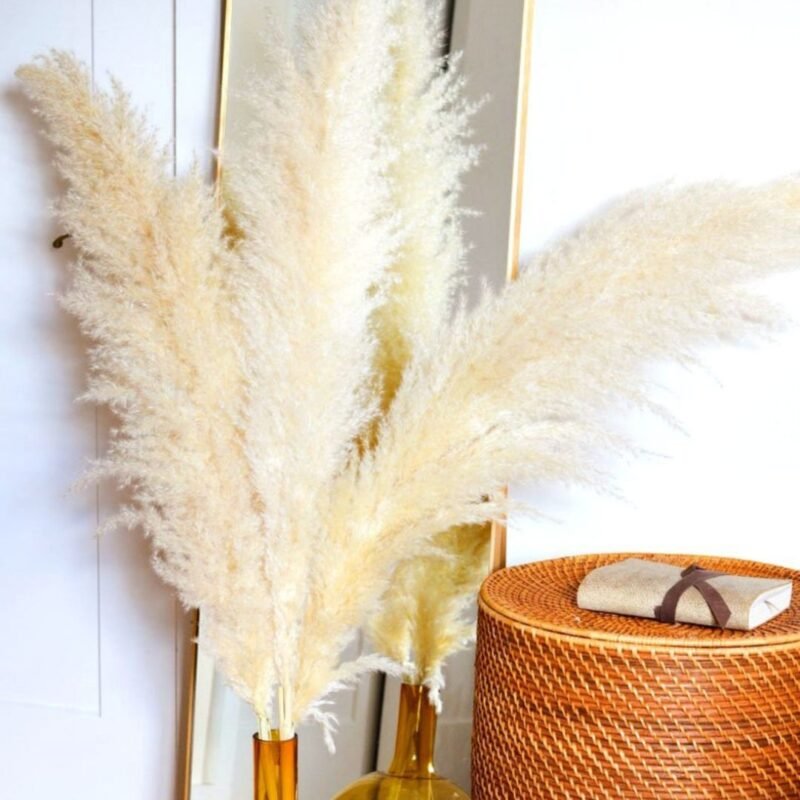 Large Beige Pampas Grass (Set of 3) - Home Stuff